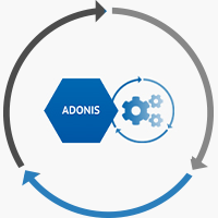 ADONIS Process Automation | Workflow Execution